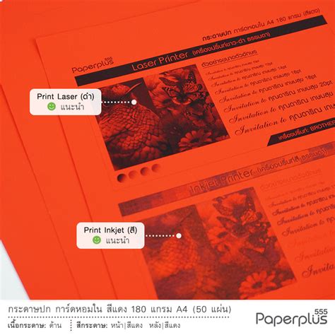 555paperplus กระดาษสี A4 หนา กระดาษเมทัลลิค เนททูโน นามบัตรหอม การ์ดหอม การร์ดบอร์ด สะท้อนแสง