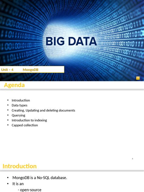 Unit 42 Mongo Db Pdf
