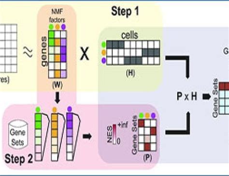 Comparative Evaluation Of Gene Set Analysis Approaches For Rna Seq Data Rna Seq Blog