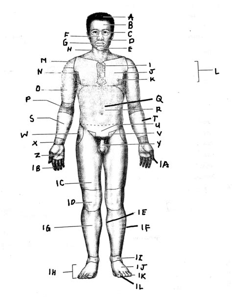 Labex 1 And 2 Diagram Quizlet