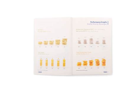 Indofood Annual Report 2006 Jasa Design Grafis Branding Identity Visual Designer Jasa