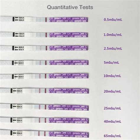How Ovulation Tests Work