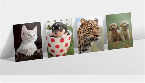 How To Create Bootstrap Cards