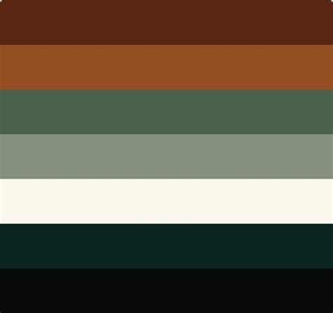 Colors Gender Flags Gender Pronouns Gender Identity