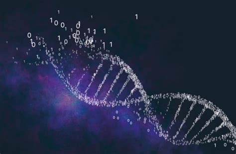 Coding And Frameworks Archives Business Software And It Blog We Shape Digital Value Creation