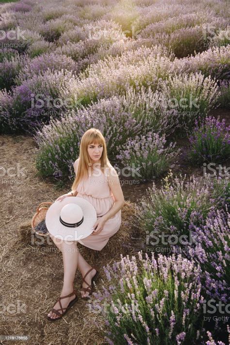 베이지 색 드레스와 밀짚 모자에 임신 한 소녀 금발 라벤더 필드 아이의 기대에 사진 촬영의 아이디어 일몰에 걸어 미래의 엄마 꽃 바구니입니다 8 9 살에 대한 스톡 사진 및