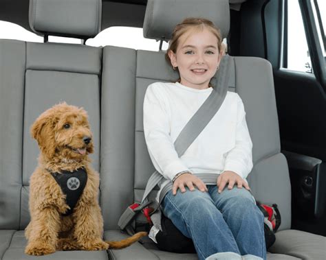 High Back Vs Backless Booster Seats Which Is Safer And When