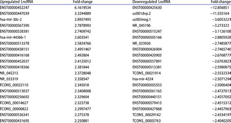 top 20 dysregulated lncrnas detected using microarray assays
