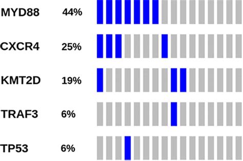 Somatic Mutations Revealed By Targeted Next‐generation Sequencing In 16