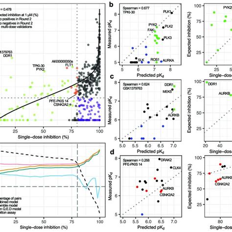 Machine Learning Based Kinase Activity Predictions A Comparison Of Download Scientific Diagram