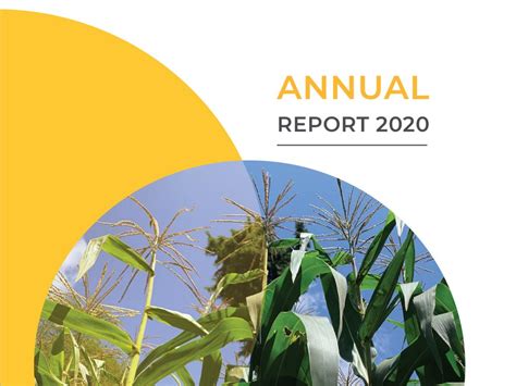 Annual Reports Development Gateway An Irex Venture Data And