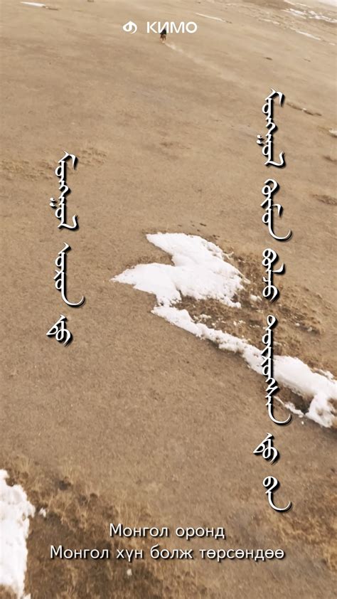 Болор Дуран монгол хэлний дүрмийн алдаа шалгагч программыг суулгах заавар Интернэтгүй үед ч