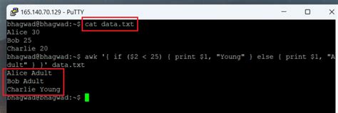 how to use the awk if else statement