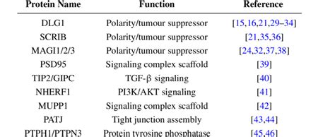 Known Pdz Domain Containing Targets Of E6 Download Table