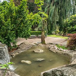 Nature Discover Langley City