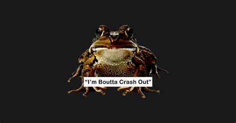 Im Boutta Crash Out Frog Im Boutta Crash Out Frog T Shirt Teepublic
