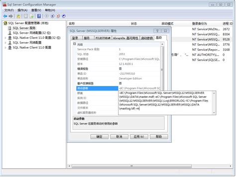 SQL Server 忘记SA密码或禁用而且Windows身份验证也无法登录的解决办法 huoit 博客园