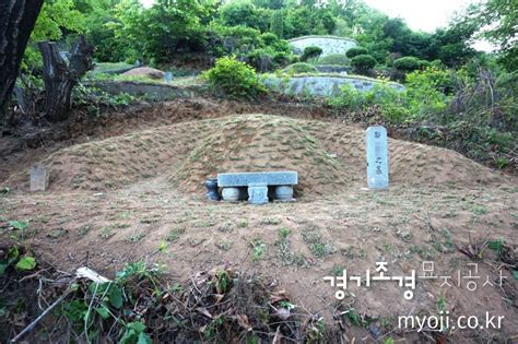 벽제묘지 5구역 정일o님 산소 사초작업 후의 모습입니다 포토앨범 경기장묘조경 서울시립용미리제1묘지 용미리제2묘지 벽제리묘지 묘지이장 파묘 전문