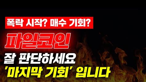 폭락 시작 매수 기회 파일코인 잘 판단하세요 마지막 기회 입니다 파일코인 파일코인전망 파일코인호재 Youtube