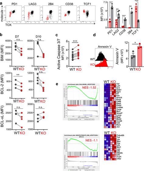 Tox Wild Type And Knockout Tcrtag Cells Reveal Differences In Genes And
