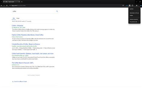 SURFSEE per Google Chrome - Estensione Download