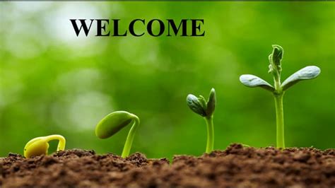 Actinomycetes In Plant Growth Promotion And Biodegradation Pptx