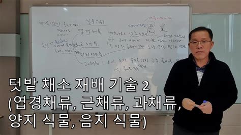 텃밭 채소 재배 기술 2 엽경채류 근채류 과채류 양지 식물 음지 식물 등 Youtube