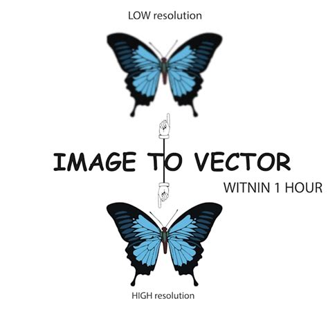 Convert Image Into Vector With High Resolution By Tasmianadeem Fiverr