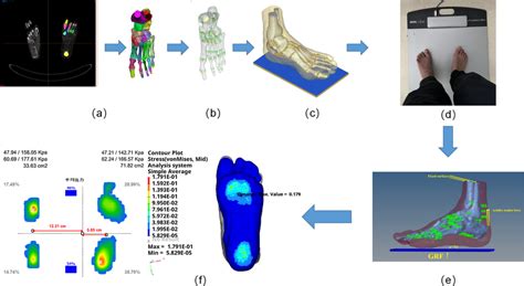 Overview Of Process Steps A Construct 3d Skeletal Model By Segmenting