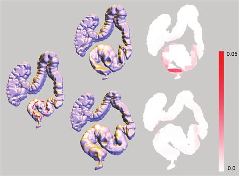 Left Original Model Middle Deformed Models By Radial Gaussian