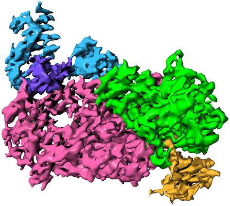 Sars Virus Structure
