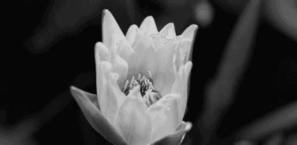 Dify V1 1 0 Filtering Knowledge Retrieval With Customized Metadata Dify Blog