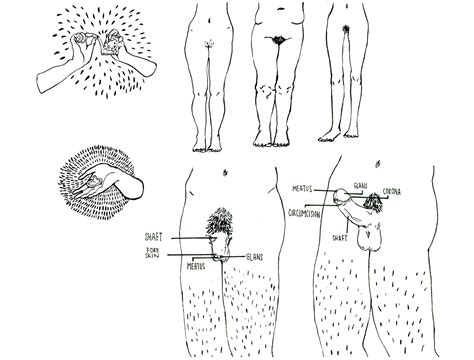 Sex Education Info Book Behance