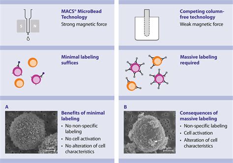 Magnetic Cell Separation Miltenyi Biotec Great Britain