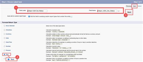 Begins Function In Salesforce