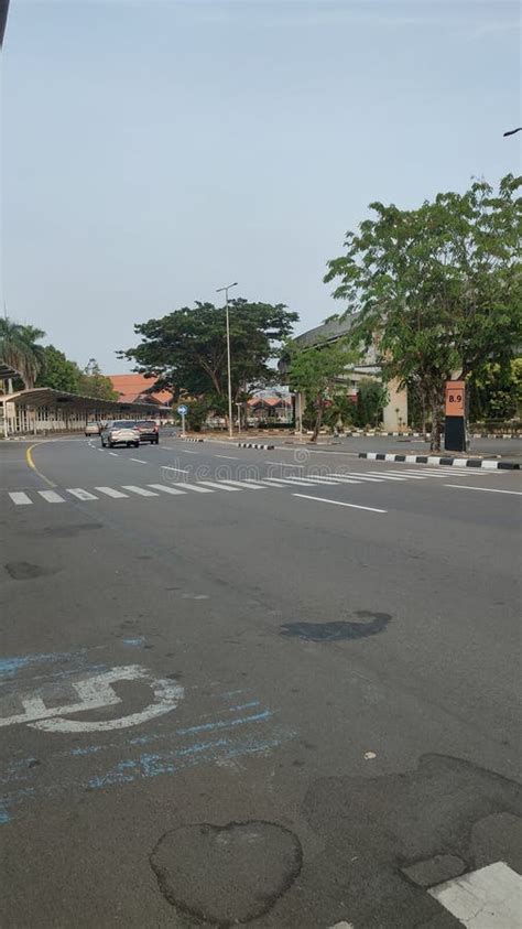 Tree On The Side Of The Road Looks Beautiful Editorial Stock Image Image Of Looks Side 292446069