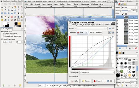 nicu s how to custom grids with gimp