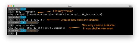 Searching And Installing Old Versions Of Nix Packages Marcelo Lazaroni Developing For The
