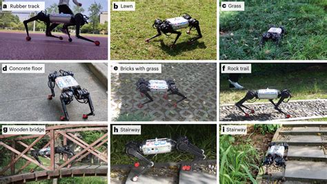 Controller Deployment In Outdoor Scenarios A Rubber Track B Lawn C