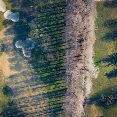 What Is Golf Svg Logomakershop Glossary