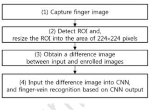 Figure 1 From Finger Vein Biometric Identification Using Convolution Neural Networks Semantic
