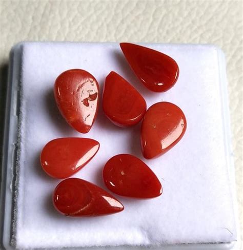Coral Gemstone