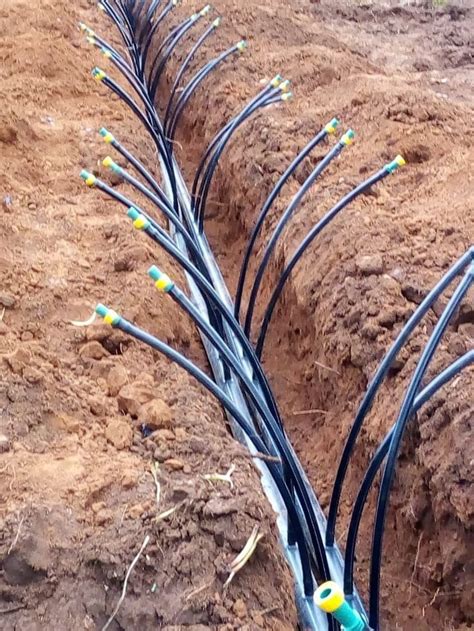Risers Drip Irrigation System Drip Irrigation Irrigation System