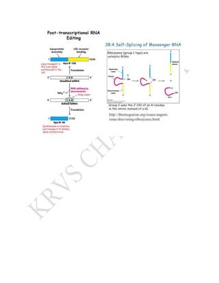 RNA PROCESSING PDF