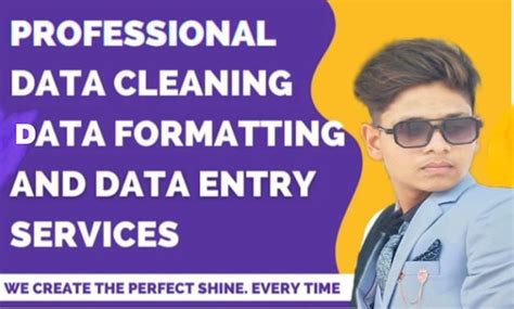 Clean And Format Excel Data By Mohmmad111shahi Fiverr