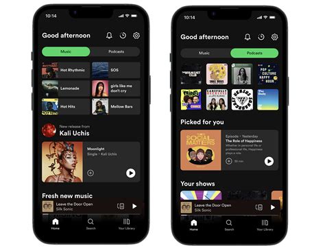Jrmc 7011e Project Management And Innovation Spotify Mobile App Redesign