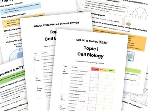 Paper 1 Aqa Gcse Biology Model Answer Revision Notes Teaching Resources