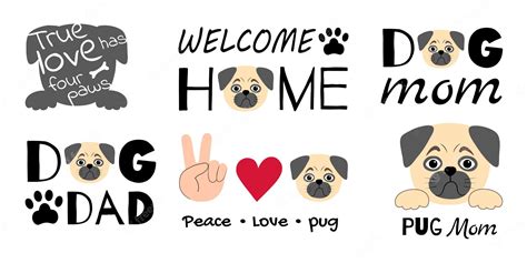 Premium Vector A Set Of Typographic Prints With A Cute Sad Pug Vector Collection For Interior