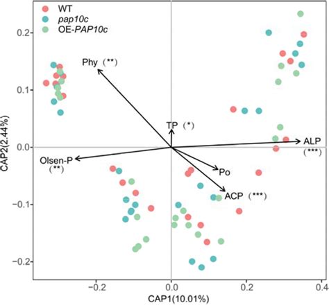 distance based redundancy analysis db rda of the correlation between