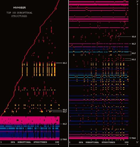 Stem Trace Of The Top 100 Suboptimal Secondary Structures Computed By